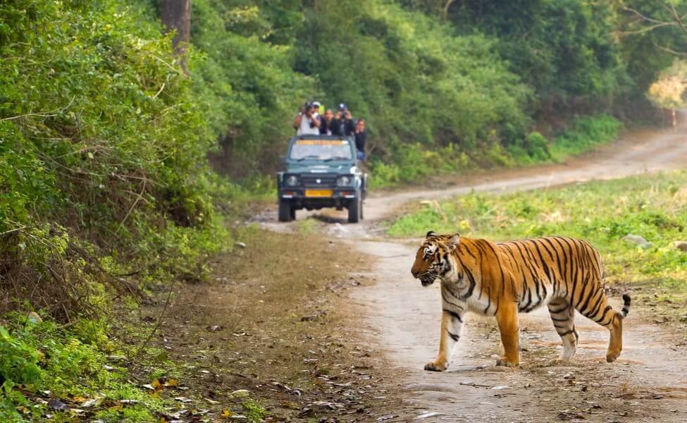 Delhi To Jim Corbett Route - Safar Namaa